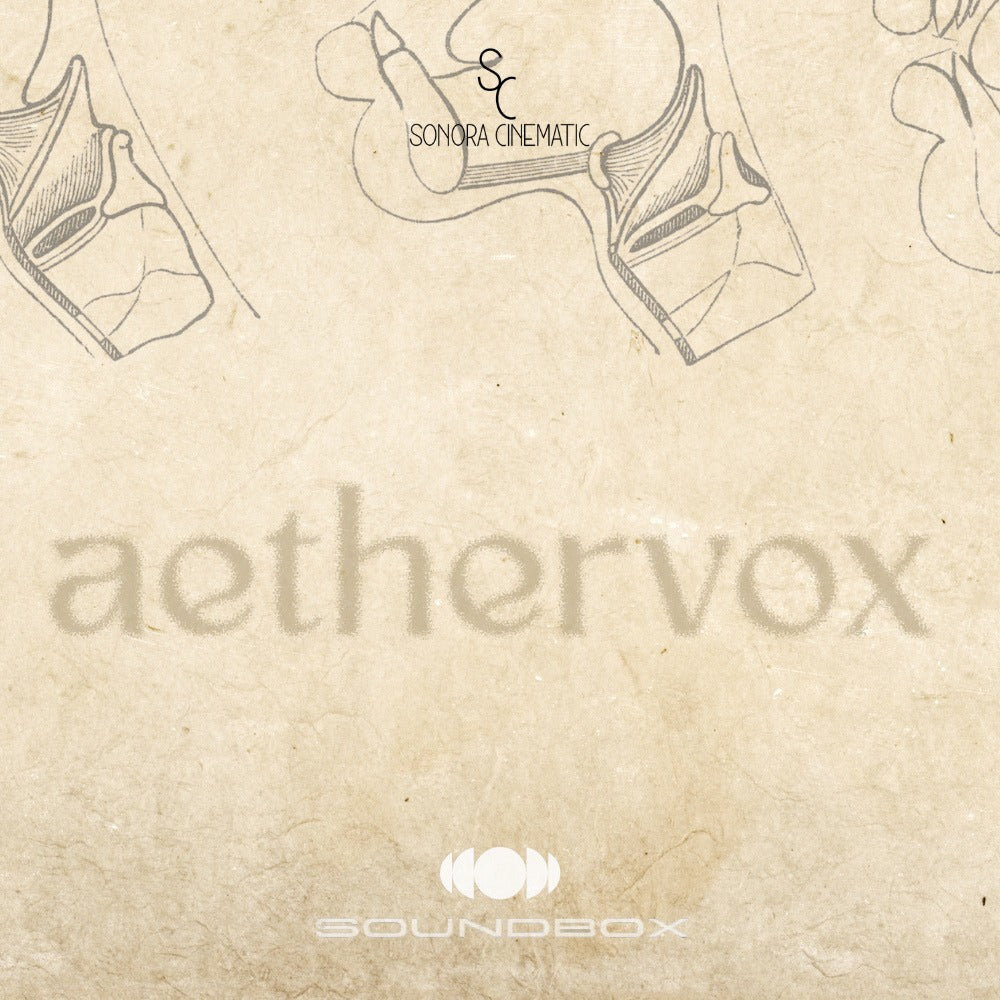 Aethervox - Powerful Cinematic Vocal Textures For Audiomodern Soundbox – Sonora Cinematic